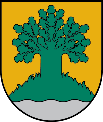 TIEŠRAIDE. Valmieras novada gada balva uzņēmējdarbībā 2025 - Valmieras ...